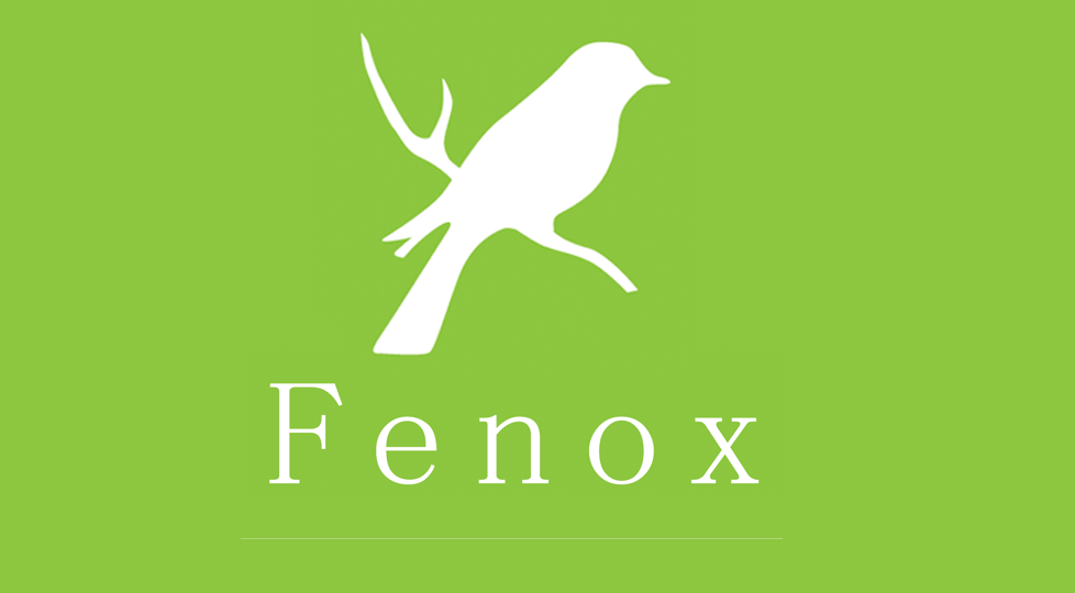 Fenox, Infocom Corporation launch startup accelerator